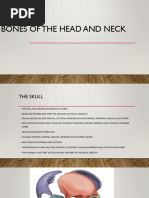 Extraoral Anatomical Landmarks Guide | PDF | Skull | Human Head And Neck