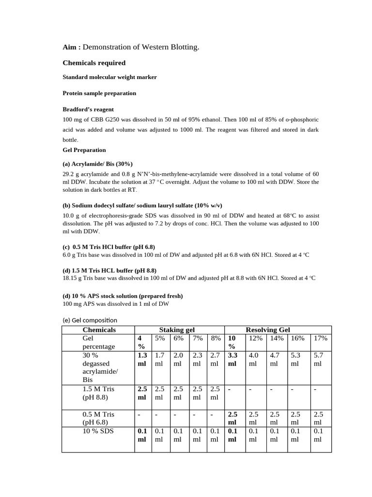 Western Blotting Protocol | PDF | Gel Electrophoresis | Western Blot