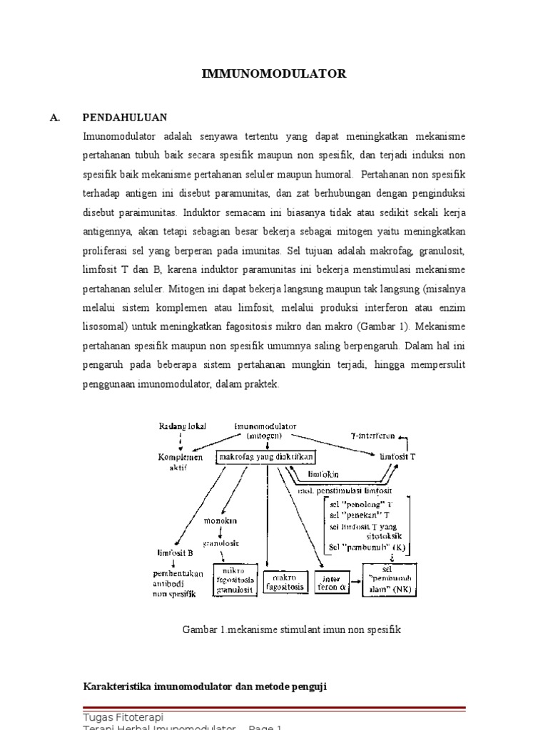 Immunomodulator | PDF
