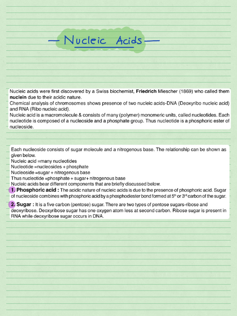Nucleic Acids - DNA, RNA | PDF