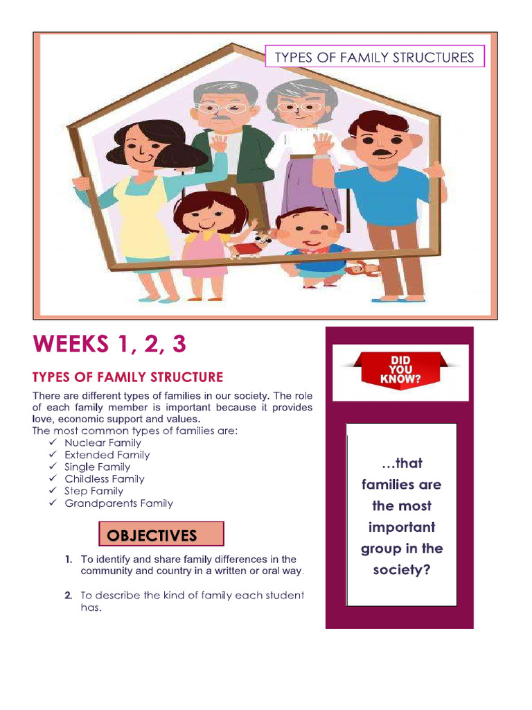 Modulo 1 de 8 Grade Primer Trimestre | PDF