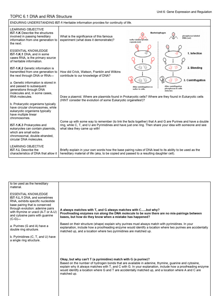 AP Biology Unit 6 Review PDF | PDF | Translation (Biology) | Operon