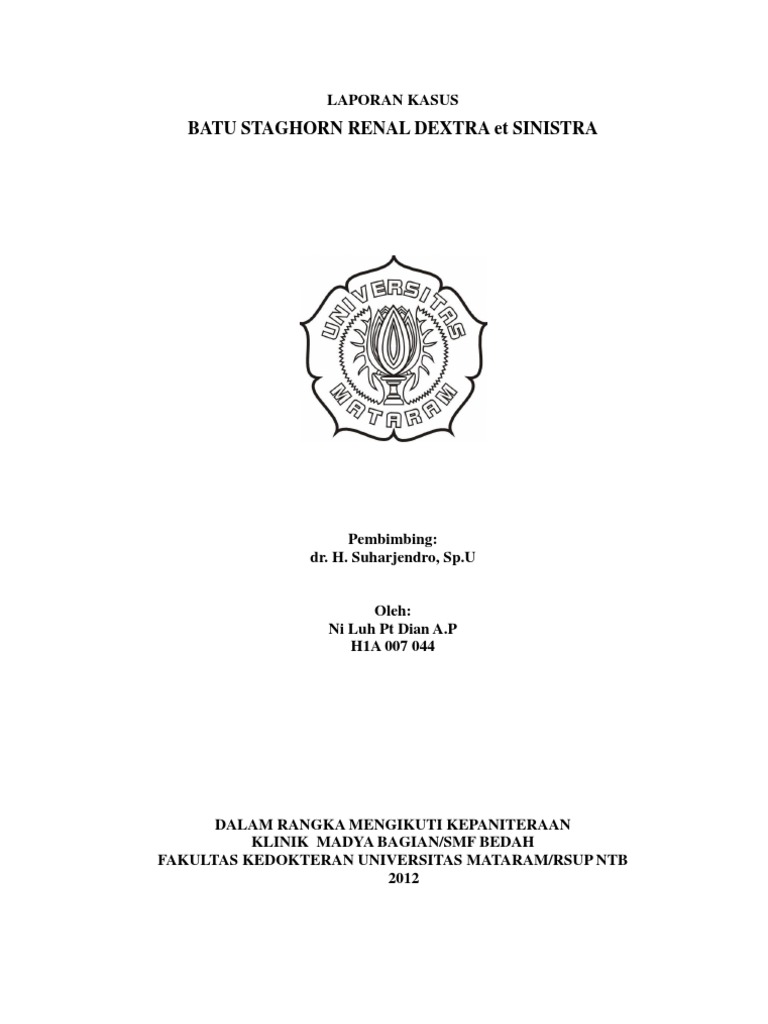 Lapsus Dian Batu Staghorn | PDF