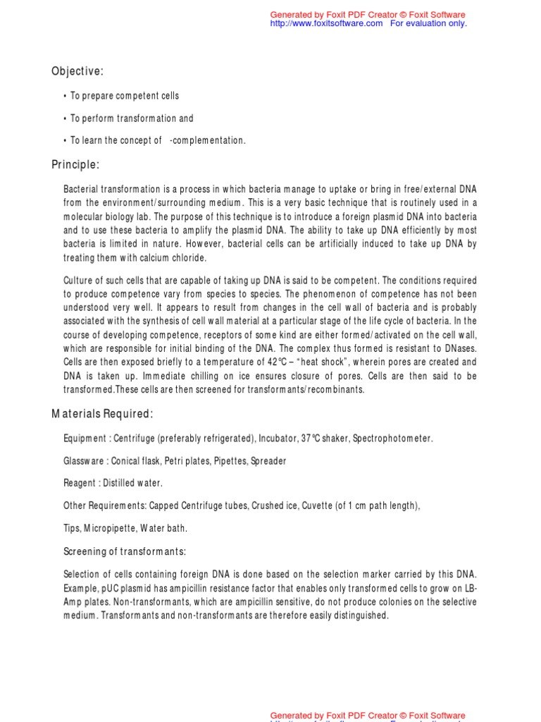 Bacterial Transformation | PDF