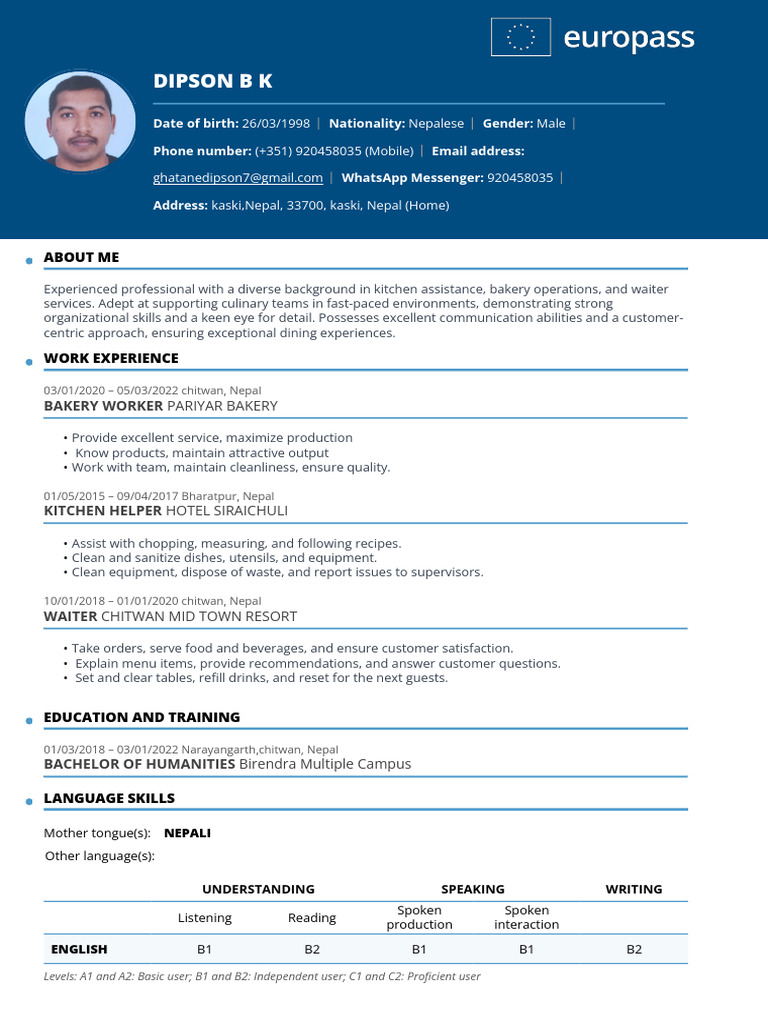 Dipson Edited CV | PDF