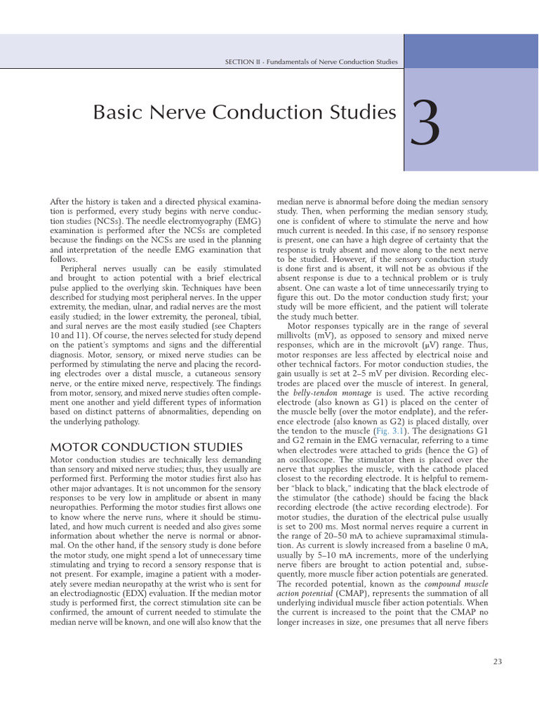 Ch3 Basic Nerve Conduction Studies | PDF | Spinal Cord | Action Potential
