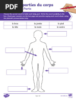 French Body Parts Labeling Worksheet | PDF