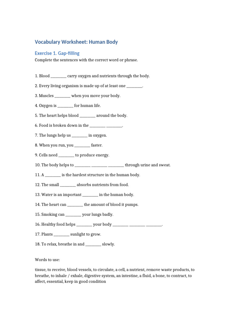 Vocabulary Worksheet Human Body | PDF | Blood | Human Body