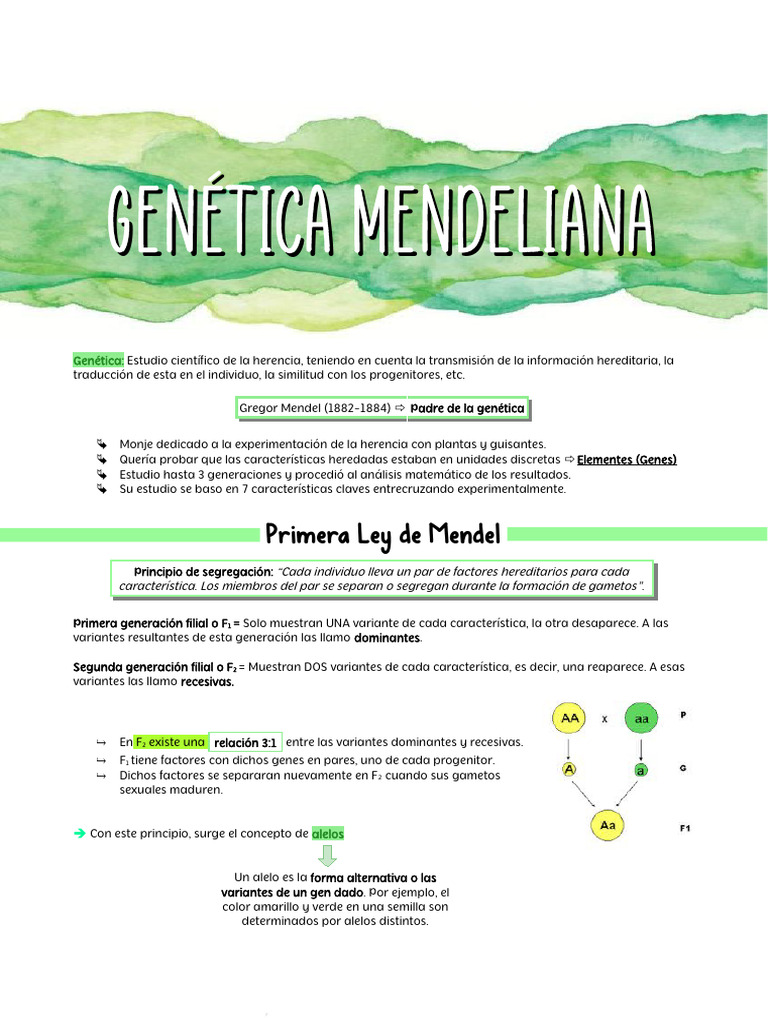 Genetica Mendeliana 178955 Downloadable 8492371 | PDF | Dominancia ...