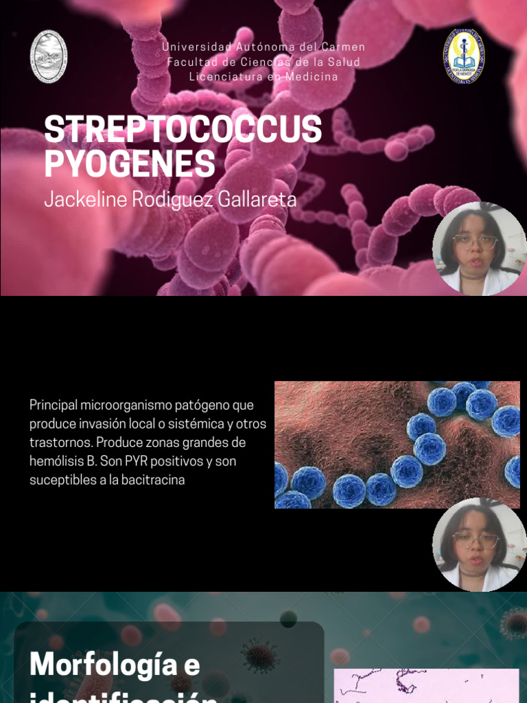 Streptococcus Pyogenes | PDF | Estreptococo | Especialidades Medicas