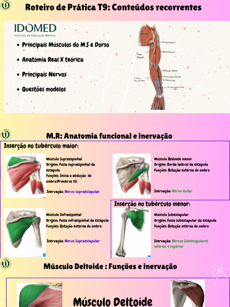 Revisão PR1 - SOP 1 4.pdf_20260226_124834_0000 | PDF | Sistema ...
