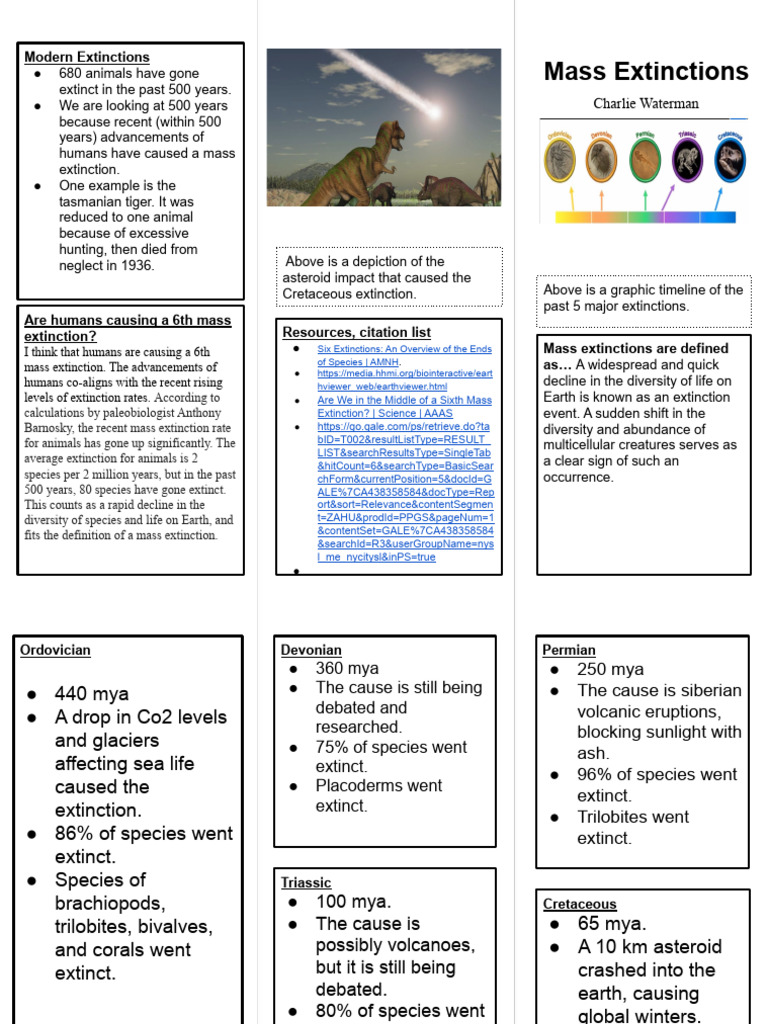 Mass Extinction Brochure | PDF | Extinction | Geology