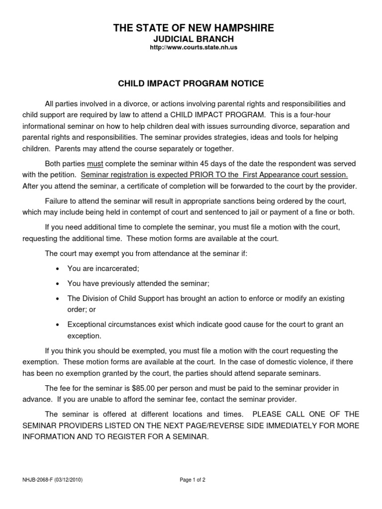 Child Impact Notice | PDF | Child Support | Divorce