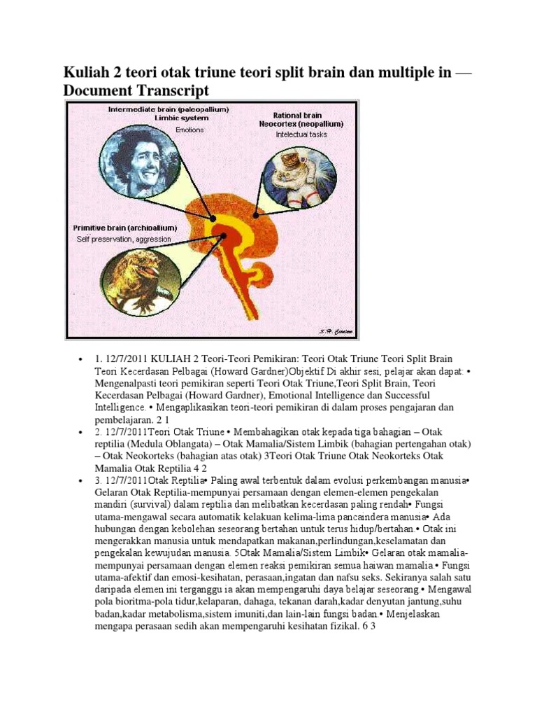Kuliah 2 Teori Otak Triune Teori Split Brain Dan Multiple in | PDF