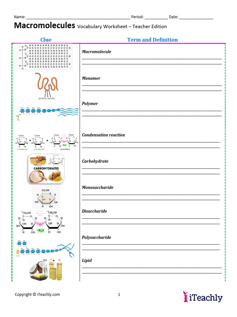 1 7 Vocabulary Worksheet TE Macromolecules | PDF | Macromolecules ...