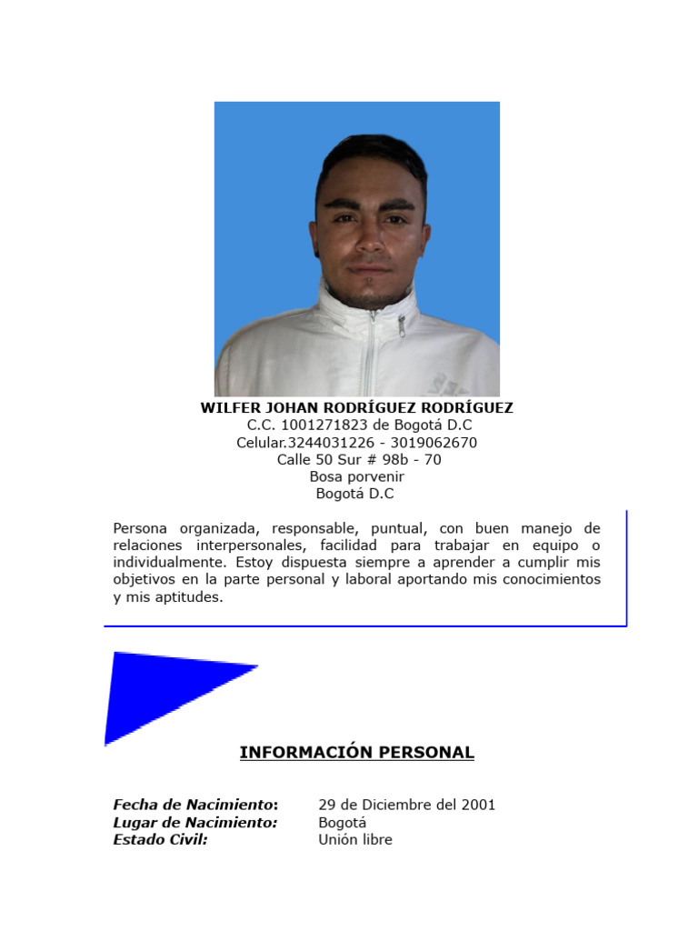 Hoja de Vida Johan - 1 | PDF