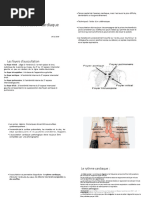 Localisation du choc de pointe cardiaque | PDF | Tension artérielle ...