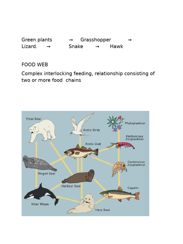 Nutrient Cycling (Biology) | PDF | Food Web | Nitrate