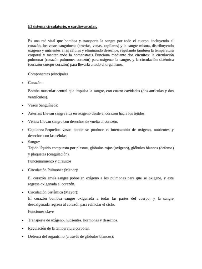 El Sistema Circulatorio, Digestivo y Articulatorio | PDF | Sistema ...
