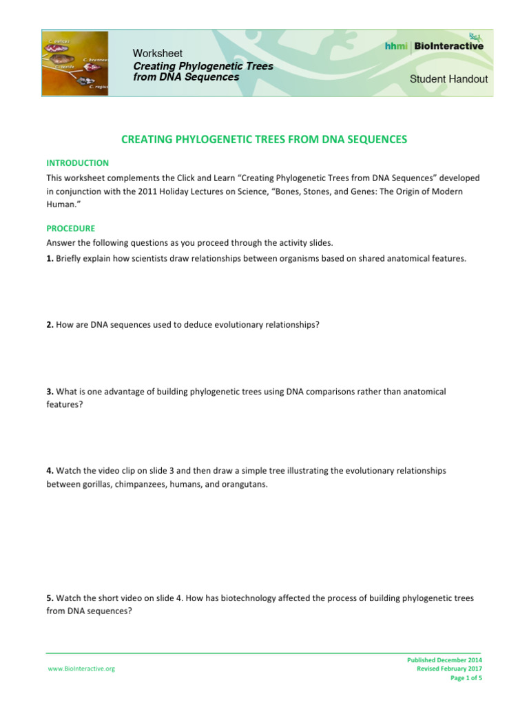 Phylogenetic Trees Click Learn Worksheet | PDF | Phylogenetics ...