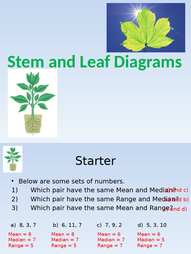 19) Stem and Leaf Diagrams | PDF | Average | Descriptive Statistics