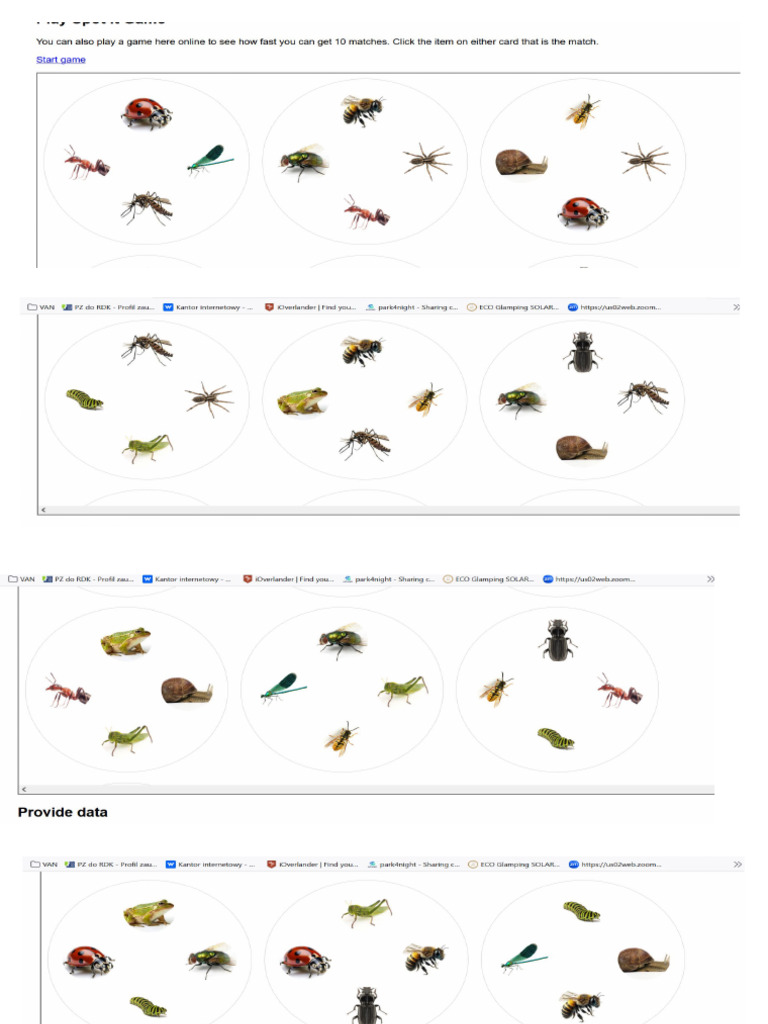 Bugs Dobble / Insects Vocabulary Spot It Game | PDF