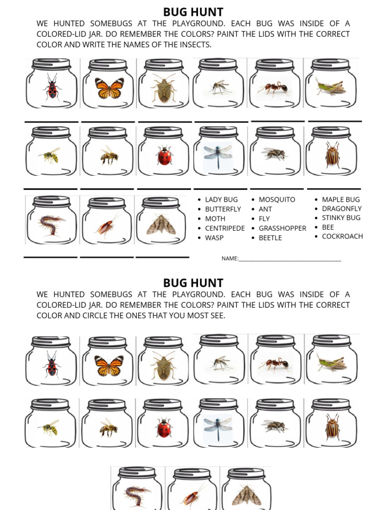 Bug Hunt | PDF