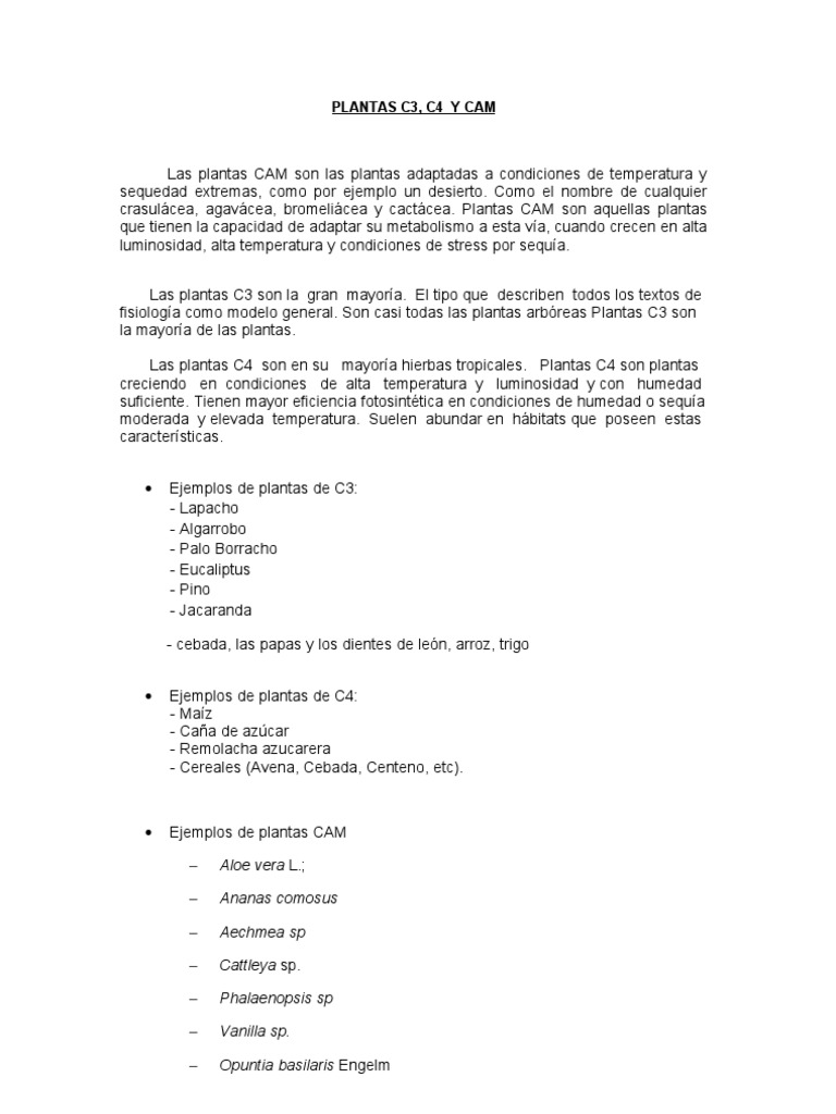 Plantas C3, C4 y CAM: diferencias metabólicas | PDF | Plantas ...