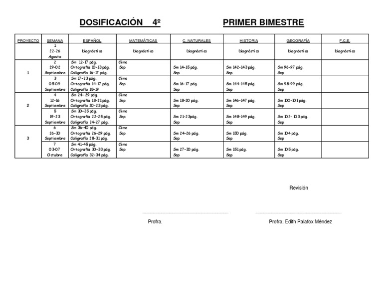 Dosificación Formato-Ejemplo | PDF