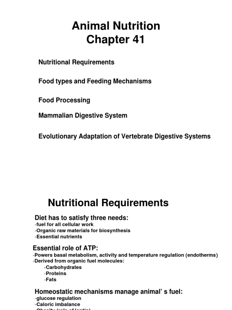 Animal Nutrition: Digestive Systems Explained | PDF | Digestion | Stomach