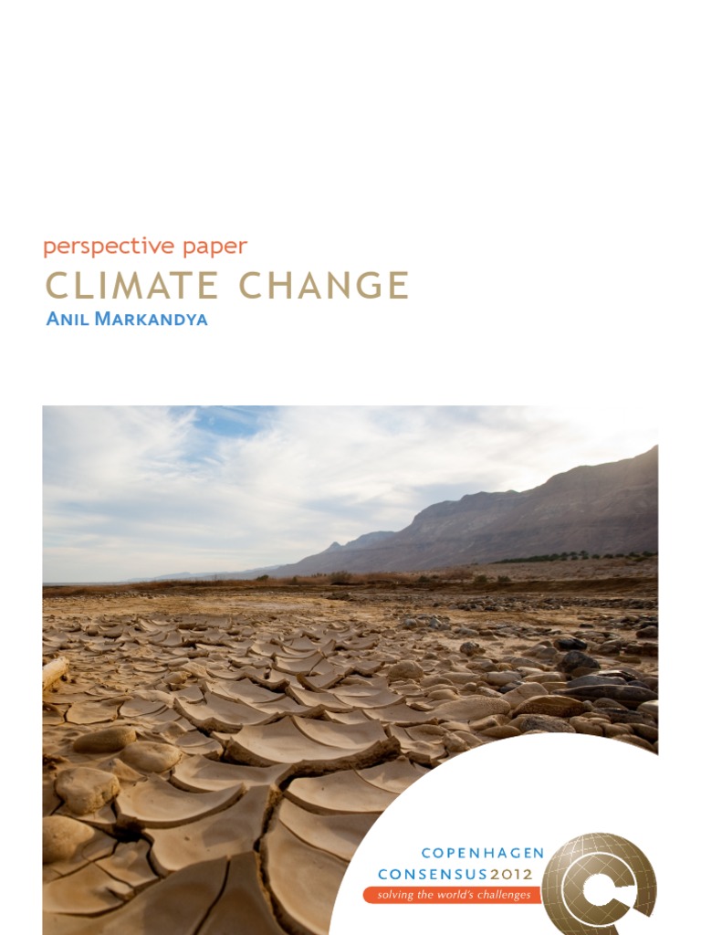 Perspective Paper Climate Change | PDF | Carbon Tax | Economics Of ...