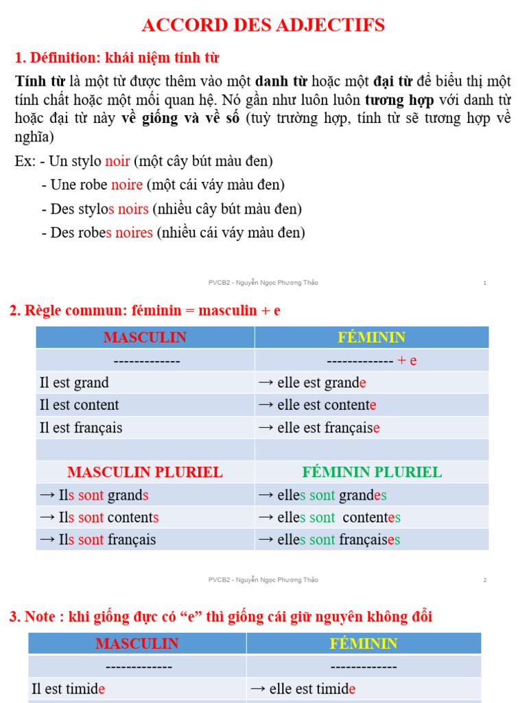 B6b-Accord Des Adjectifs | PDF | Ouverture (échecs) | Théorie (échecs)