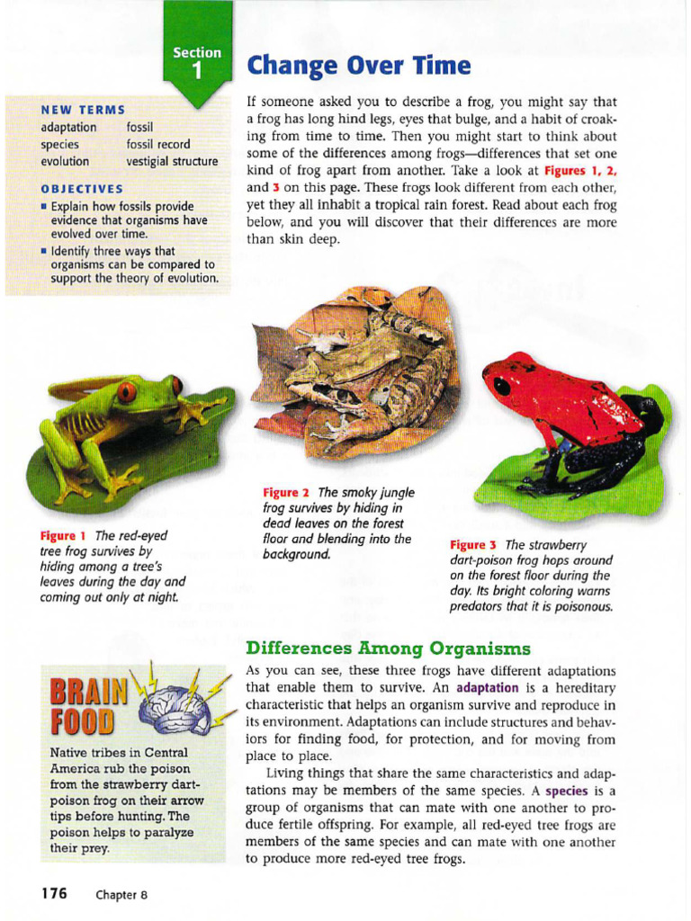 U3 Ch8 Evolution Living Things | PDF