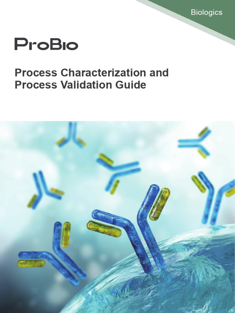 Process Characterization and Process Validation Guide | PDF