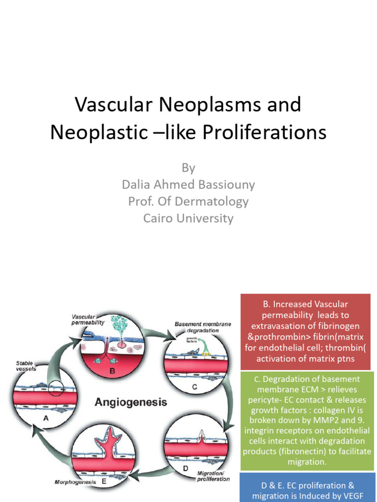 Cutaneous Vascular Tumours MD | PDF | Extracellular Matrix | Wound Healing