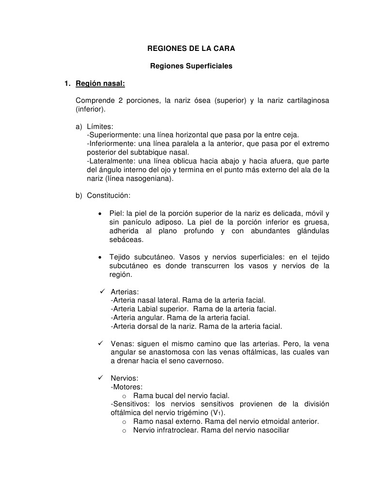 Anatomía de las Regiones Faciales | PDF | Cara | Cabeza y cuello humanos