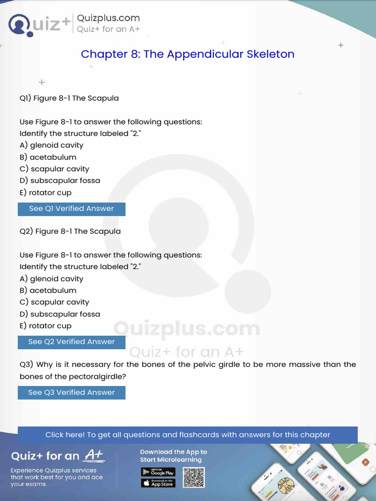 Identify The Structure Labeled 2 | PDF | Vein | Cell (Biology)