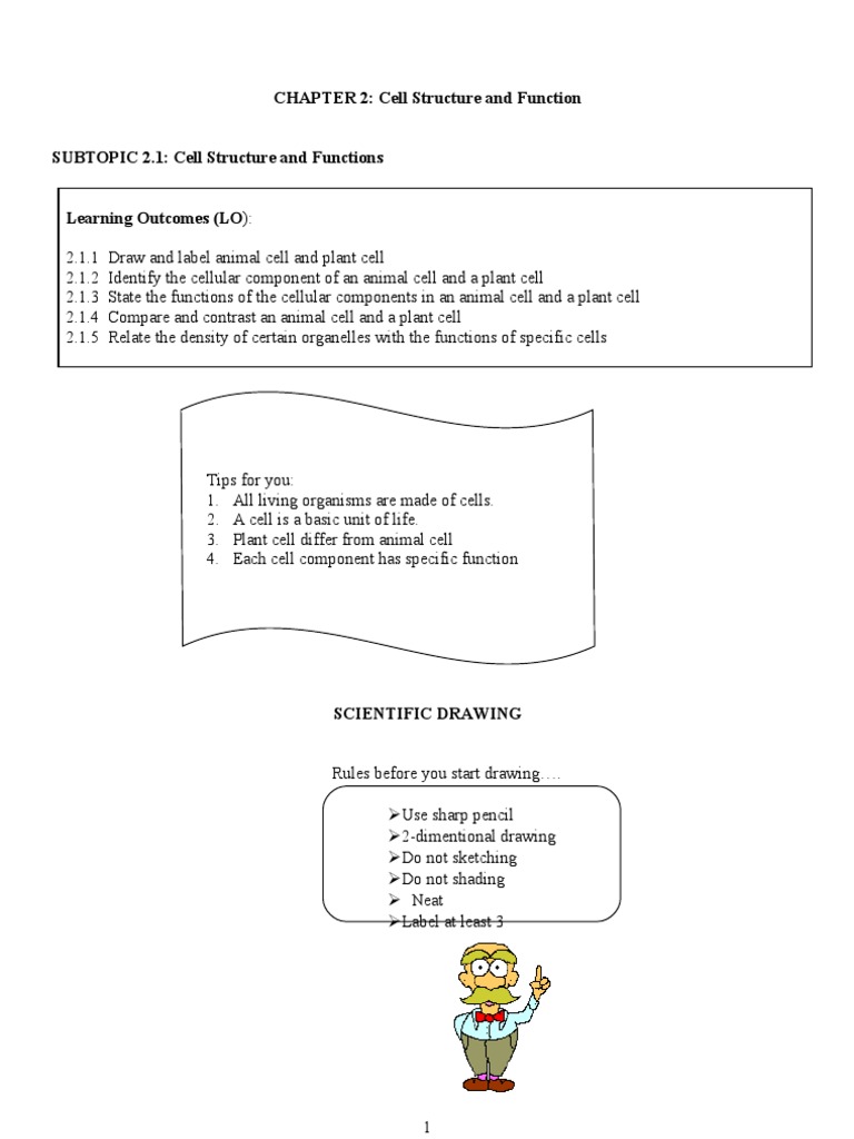 CHAPTER 2: Cell Structure and Function | PDF | Mitochondrion | Vacuole