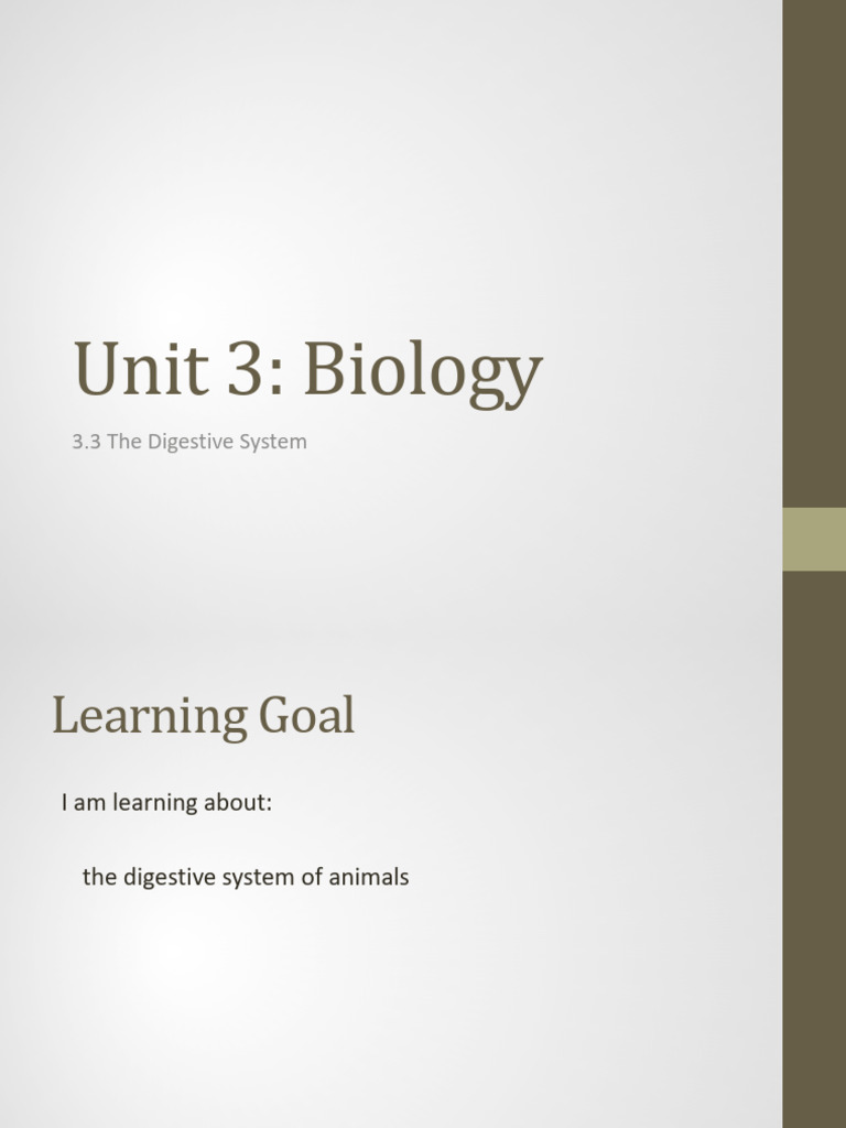 Lesson 5 - The Digestive System | PDF