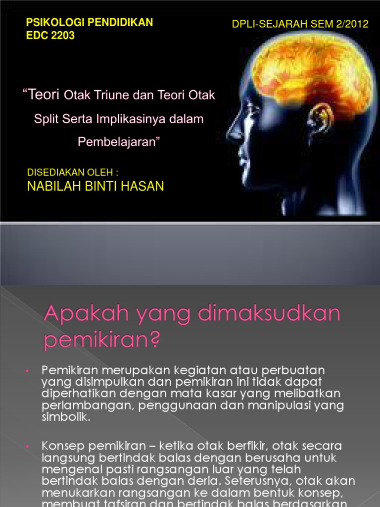 Teori Otak Split Dan Triune | PDF