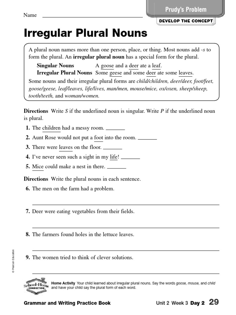 Irregular Plurals Practice | PDF | Plural | Mouse