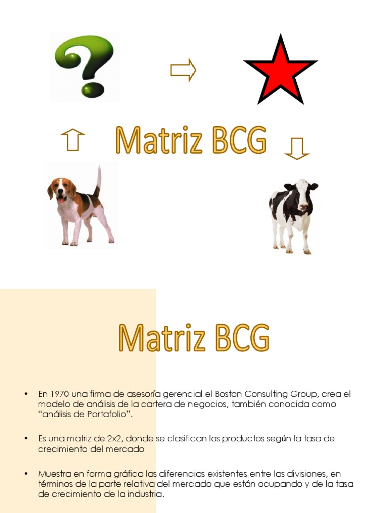 Análisis de la Matriz BCG en Portafolios | PDF