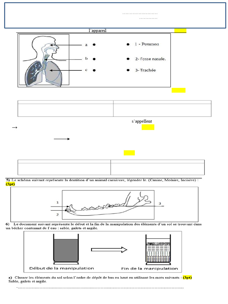 Evaluation Diagnostique SVT 1AC 2025 | PDF