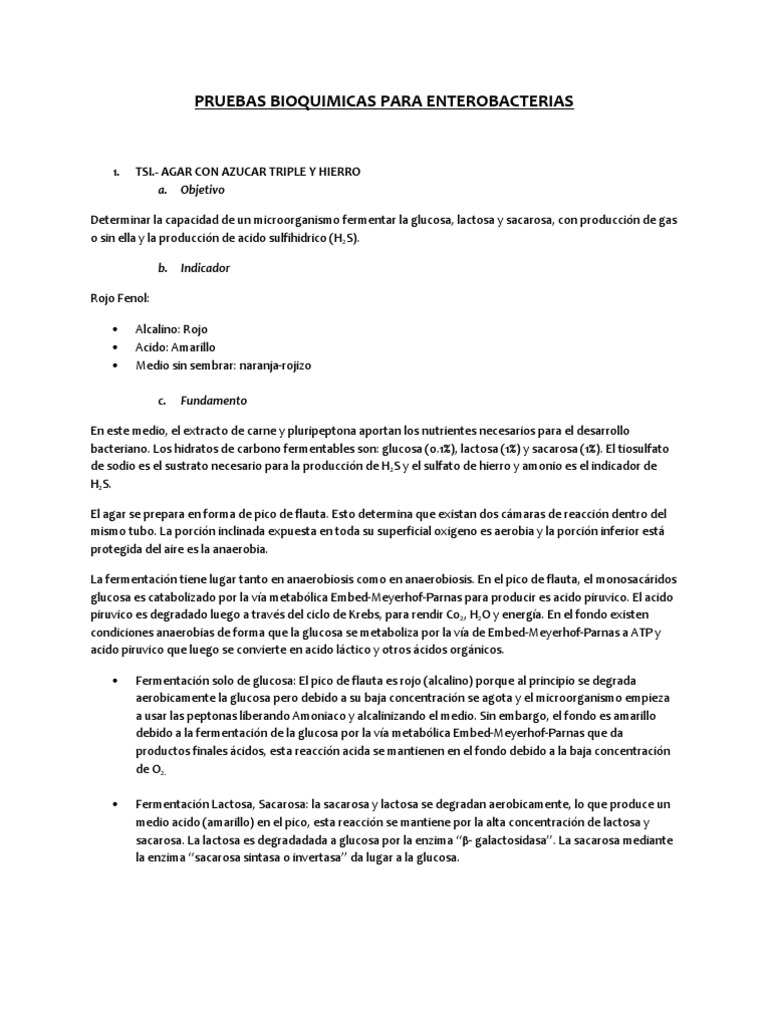 Pruebas Bioquimicas para Enterobacterias | Descargar gratis PDF | Metabolismo | Enzima