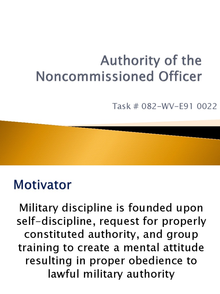 NCO Authority and Responsibilities Guide | PDF | Non Commissioned ...