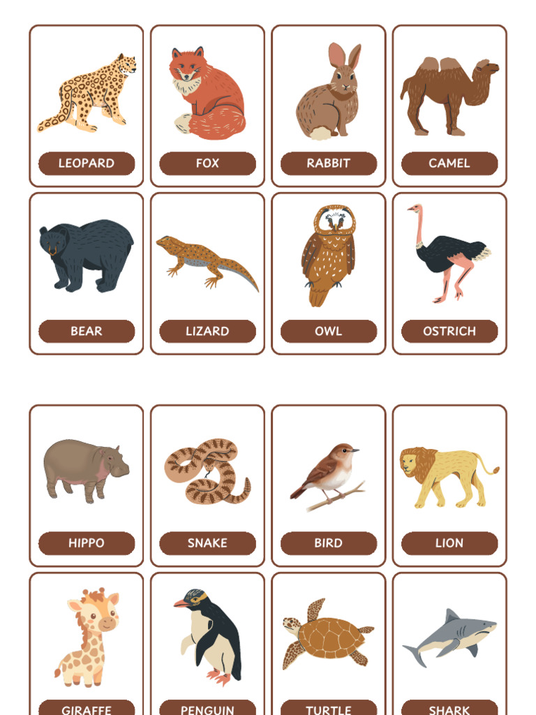 Wild Animals Vocabulary Flashcards | PDF