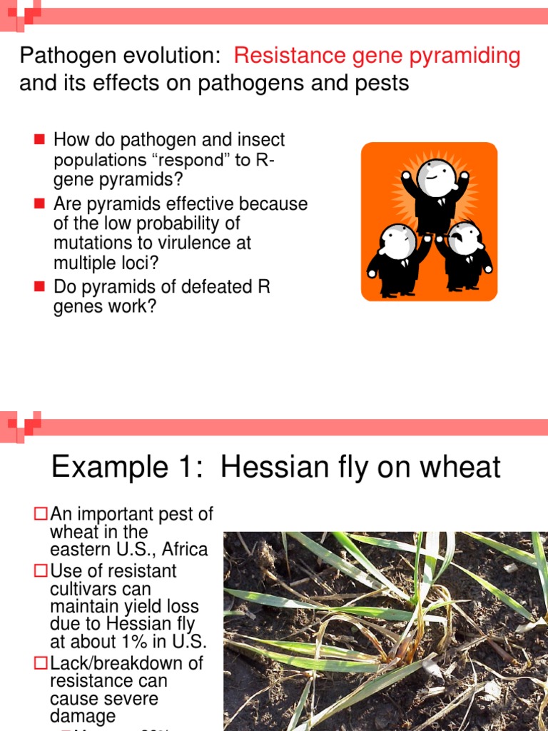 Pathogen Evolution: and Its Effects On Pathogens and Pests: Resistance ...