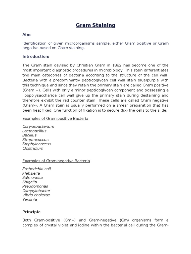 Gram Staining Protocol or Procedure | PDF | Staining | Gram Negative ...