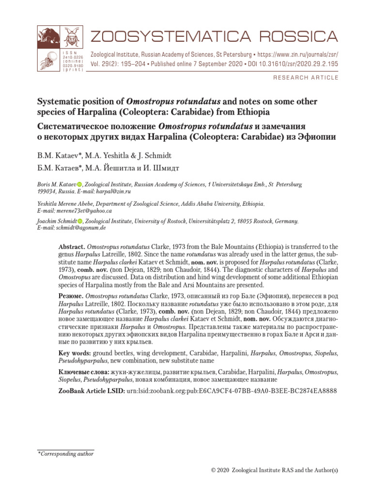Systematic Position of Omostropus Rotundatus and Notes On Some Other ...