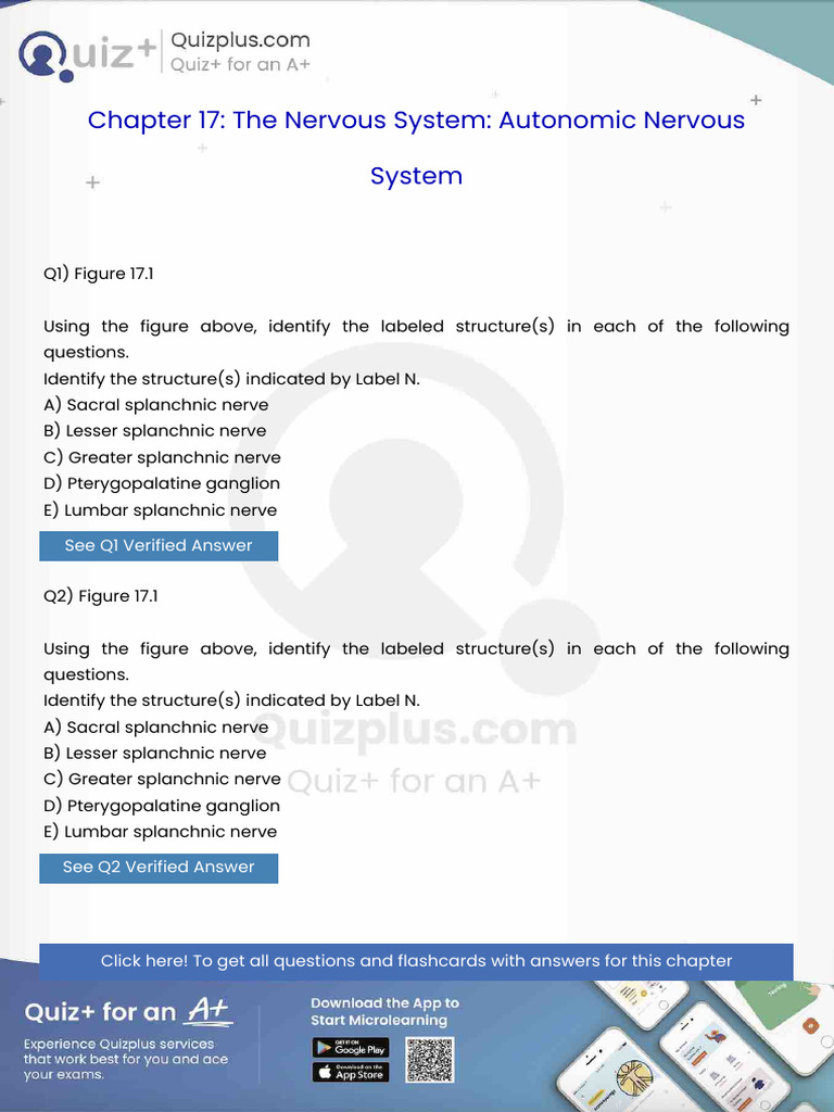 Identify The Structures Indicated by Label N | PDF | Vein | Connective ...